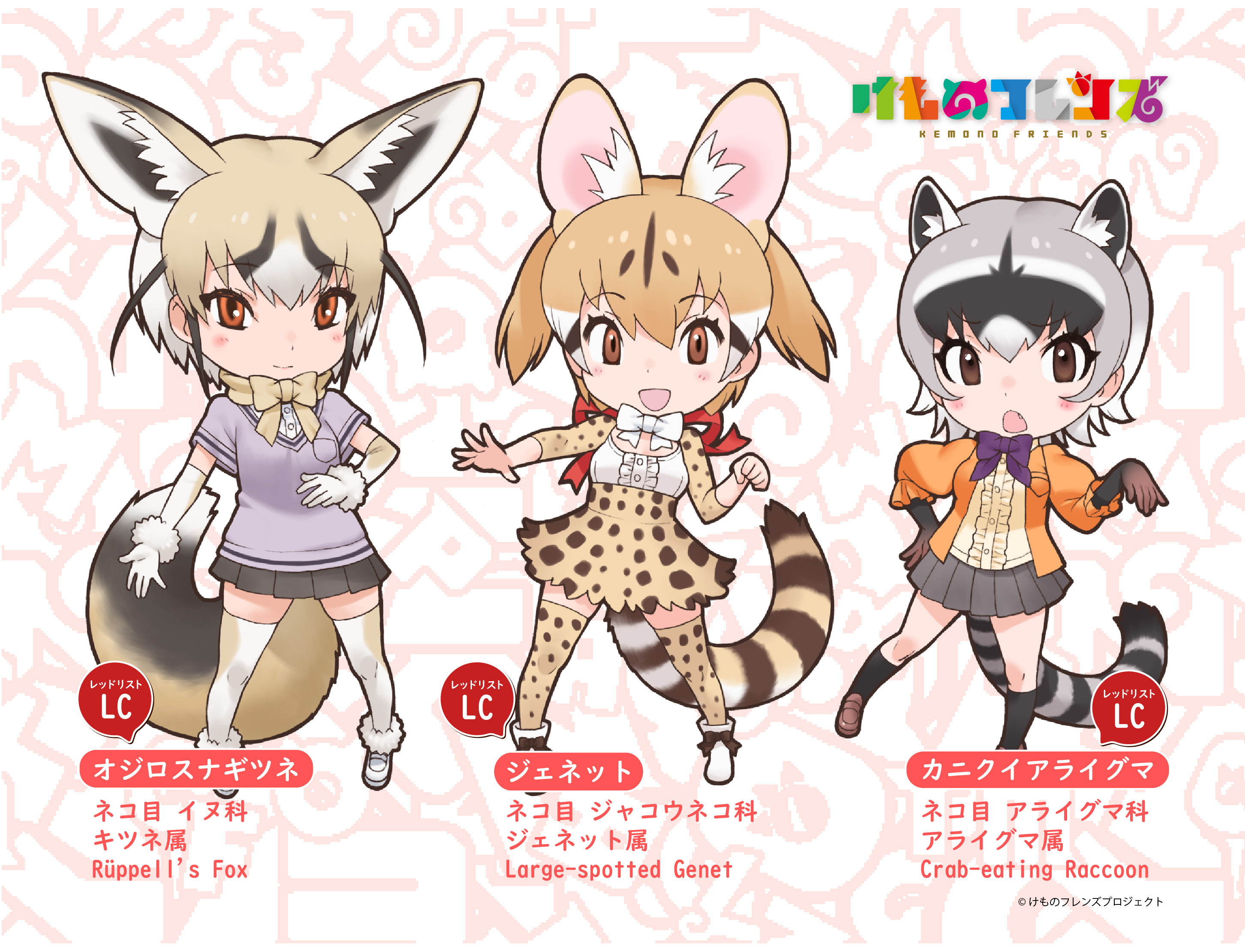 Large Spotted Genet Crab Eating Raccoon And Rueppells Fox Kemono