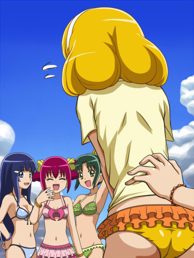 Midorikawa Nao Kise Yayoi Aoki Reika And Hoshizora Miyuki Precure