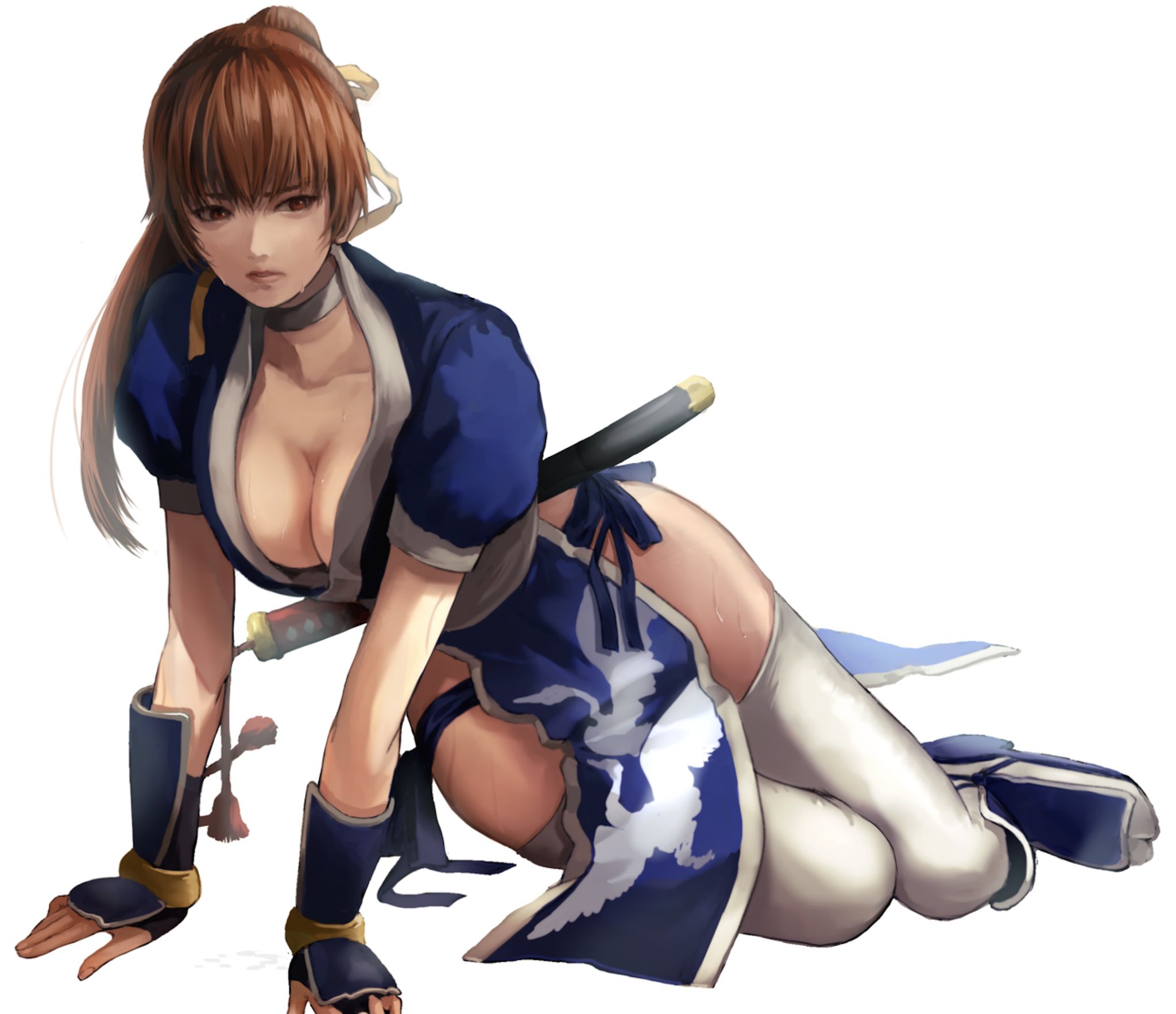 Kasumi Dead Or Alive Drawn By Gauss
