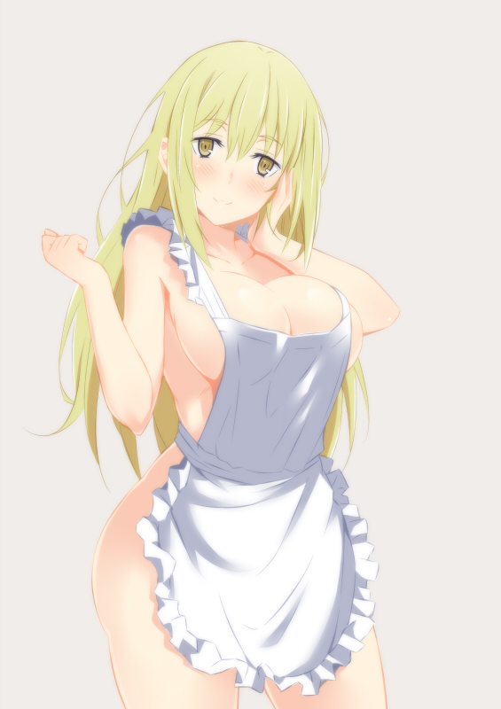Aiz Wallenstein Dungeon Ni Deai Wo Motomeru No Wa Machigatteiru Darou Ka Drawn By Inuisanagi