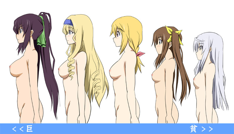 Charlotte Dunois Laura Bodewig Cecilia Alcott Shinonono Houki And Huang Lingyin Infinite