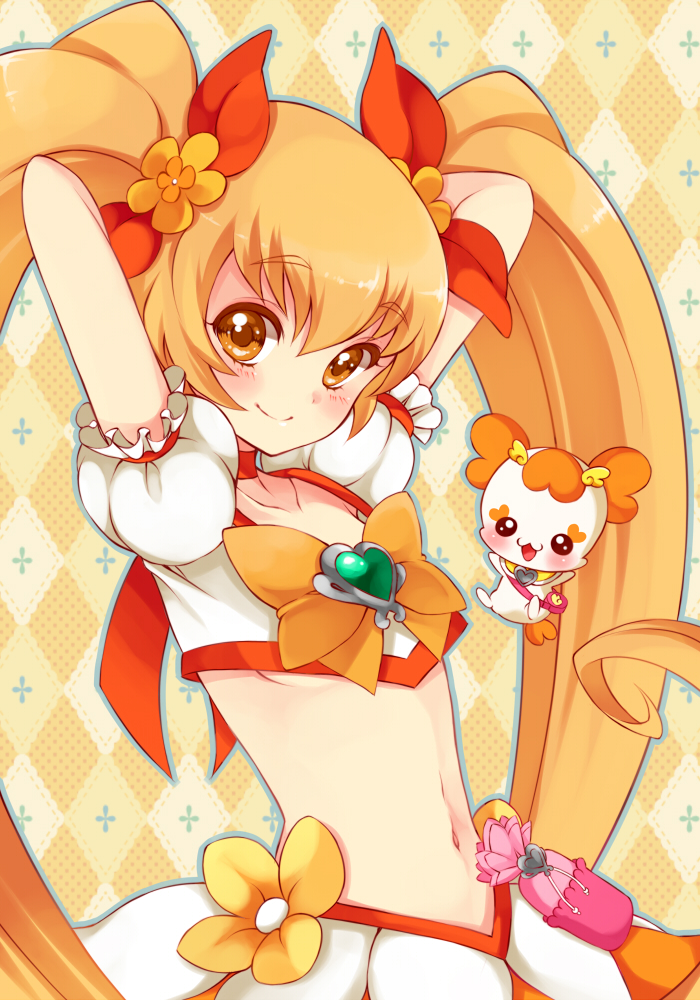 Myoudouin Itsuki Cure Sunshine And Potpourri Precure And 1 More