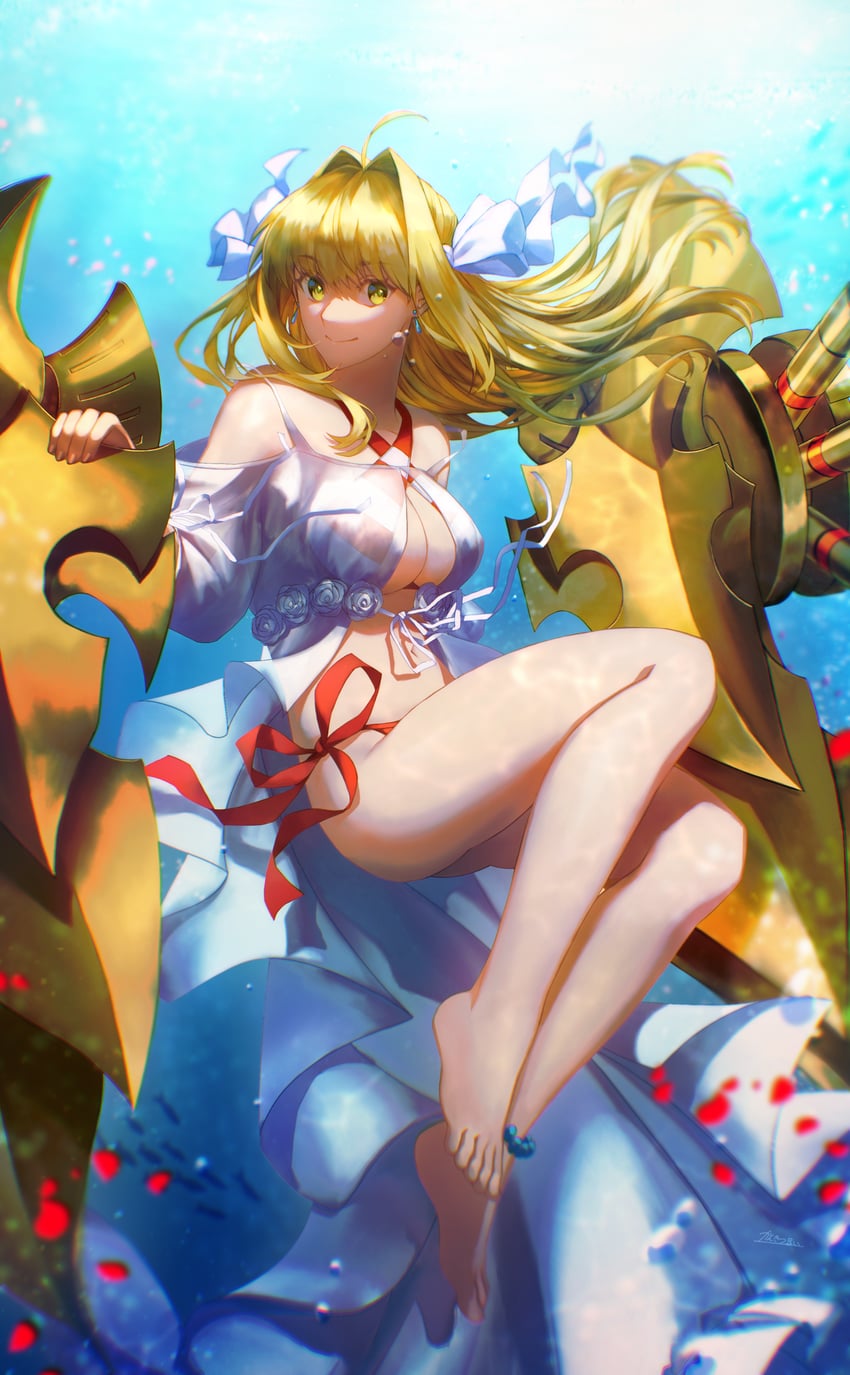 Nero Claudius Nero Claudius And Nero Claudius Fate And 1 More Drawn By Kankitsuruihouseof