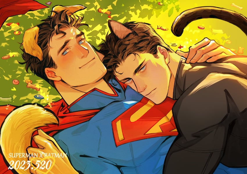 Batman X Superman Yaoi