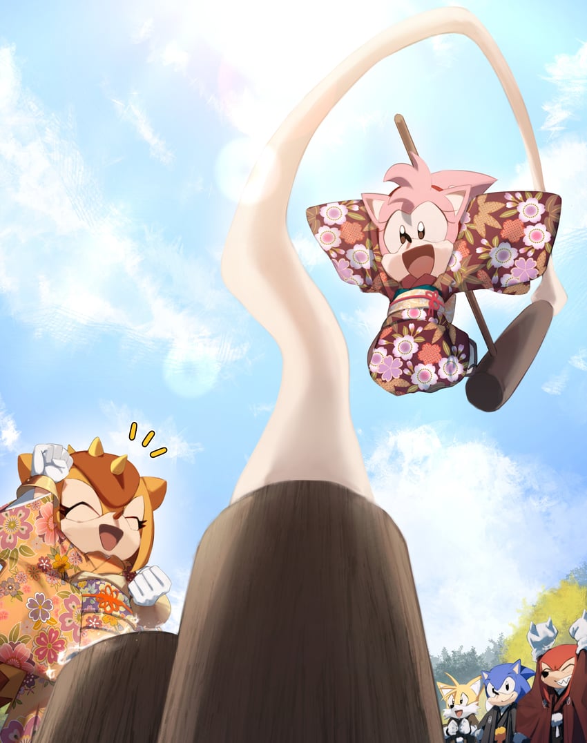 Sonic The Hedgehog Amy Rose Tails Knuckles The Echidna And Trip The